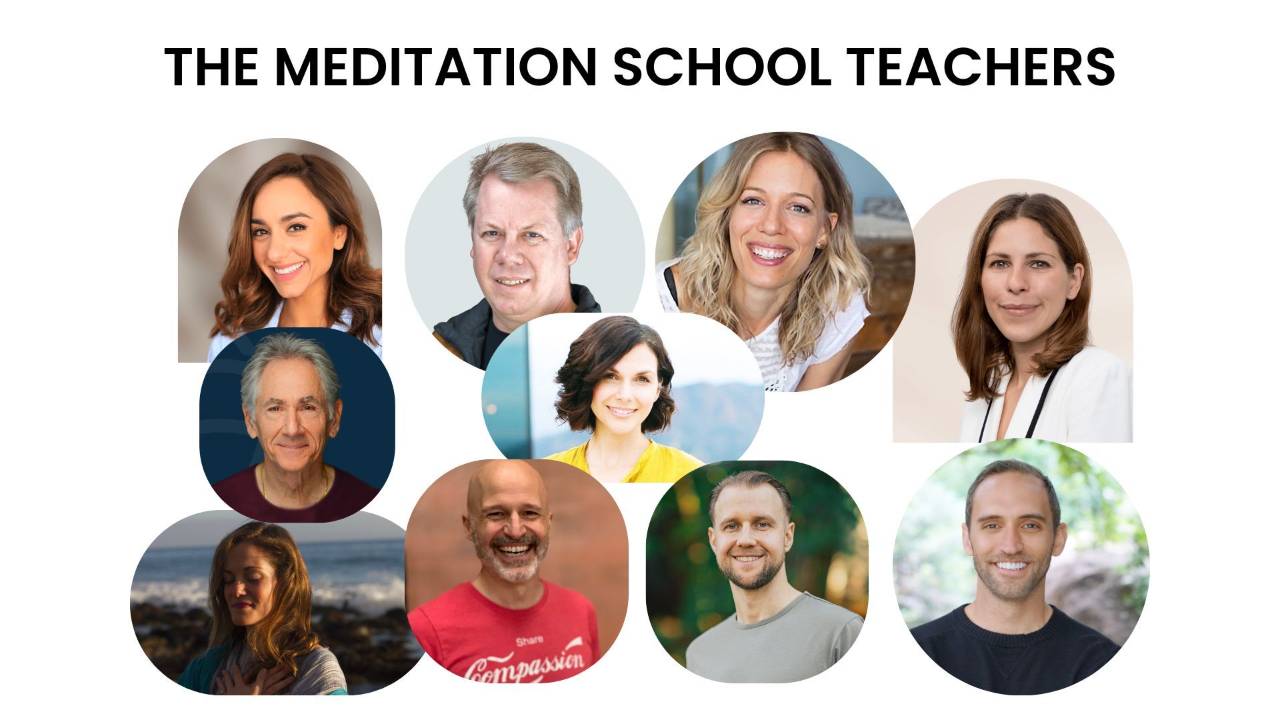 Meditation School Teachers