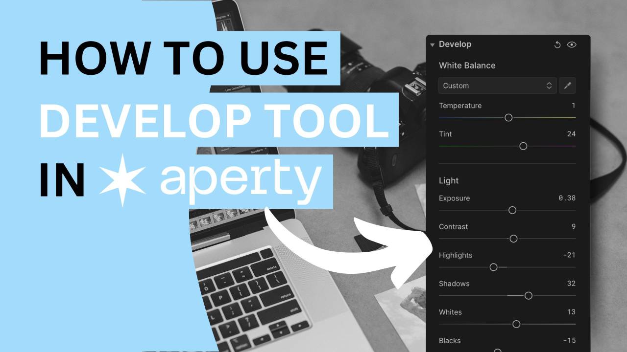 Aperty: How to use Develop tool