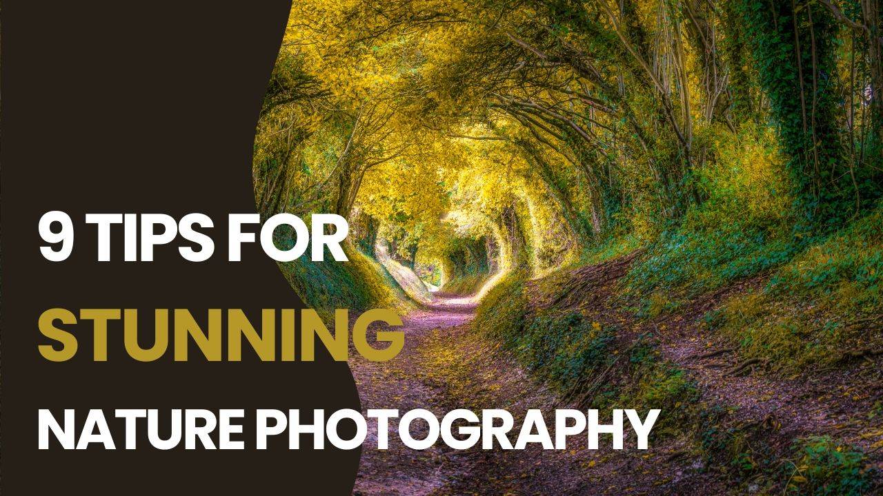 Capturing the Wild: 9 Essential Tips for Stunning Nature Photography