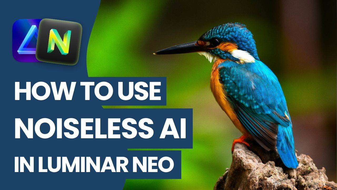 Luminar NEO: How to use Noiseless AI