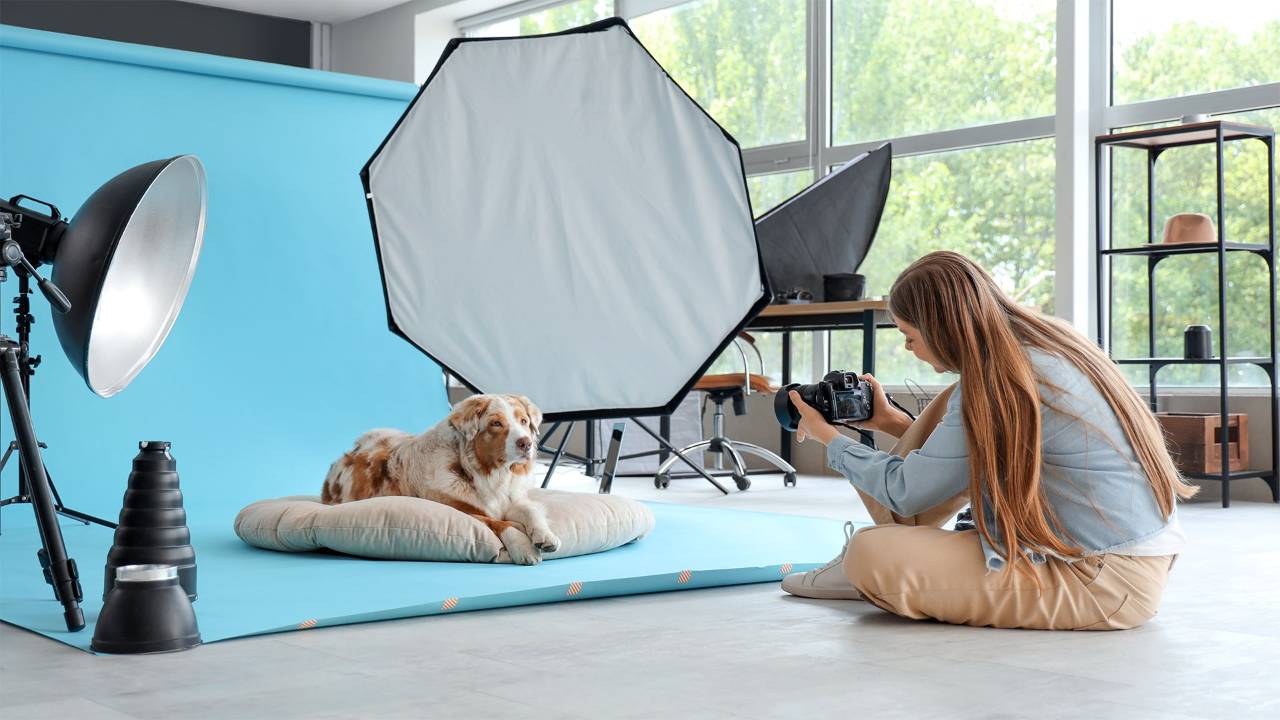 9 Creative Pet Photography Ideas (+ Easy Editing Tips)