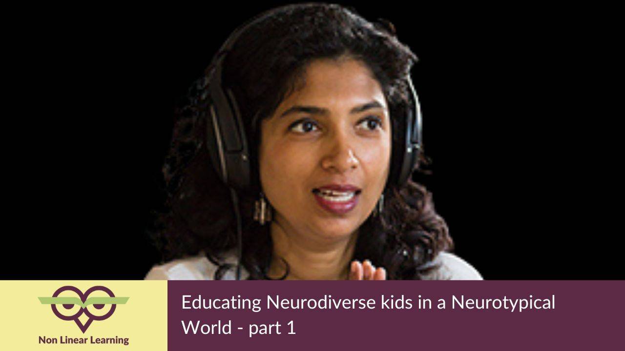108 Educating Neurodiverse kids in a Neurotypical World - part 1