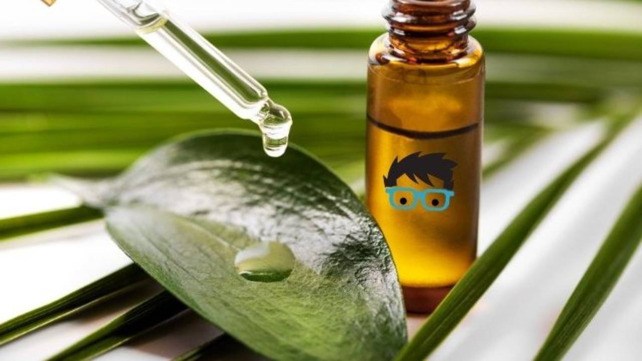 Young Living MLM Review - Make Money From Essential Oils?