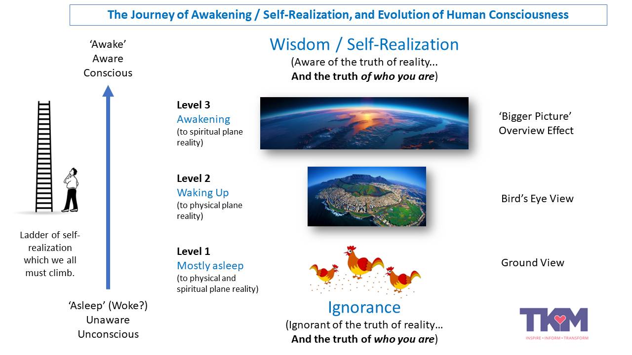 What is the Bigger Picture and why do we need to understand it?