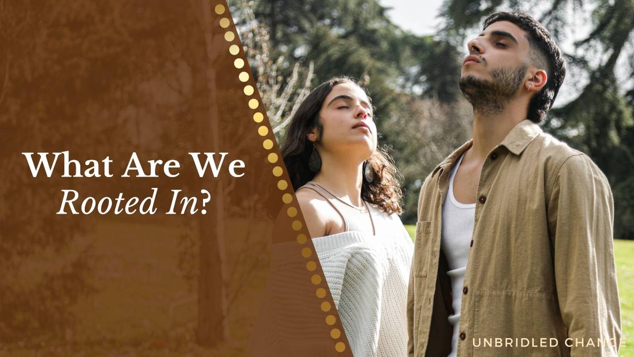 What are we Rooted In?