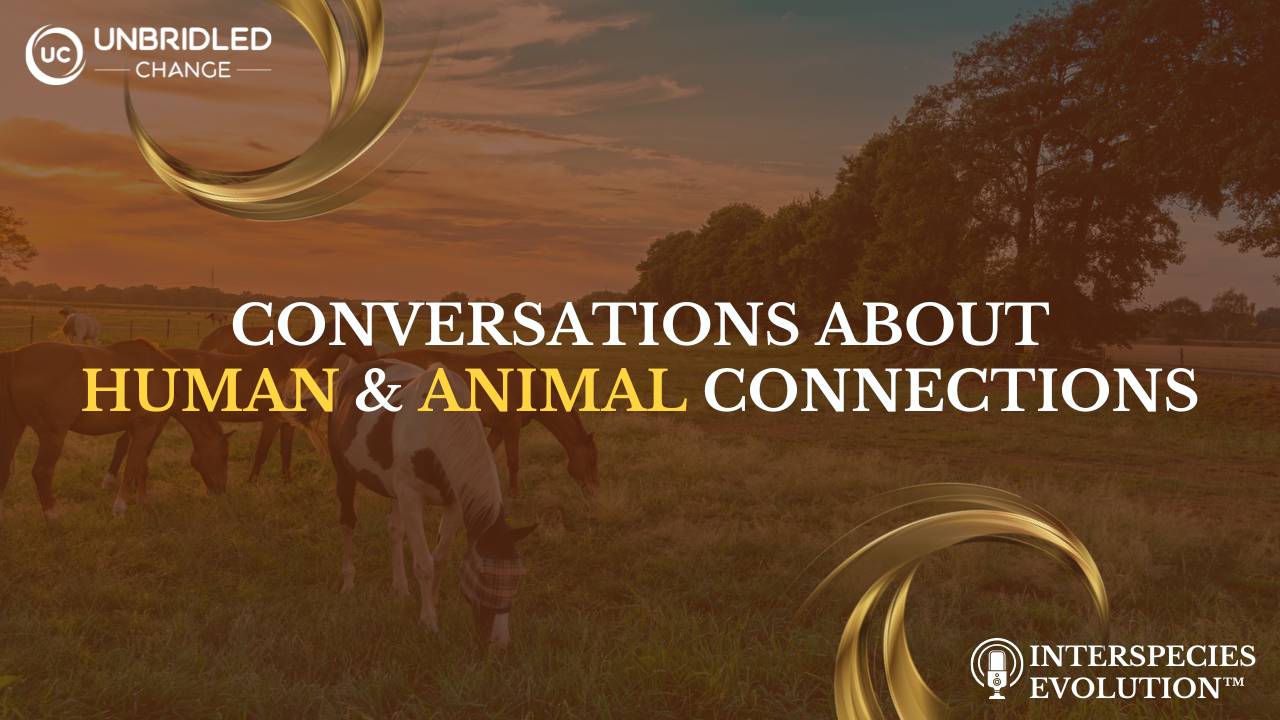 Conversations about Human and Animal Connections