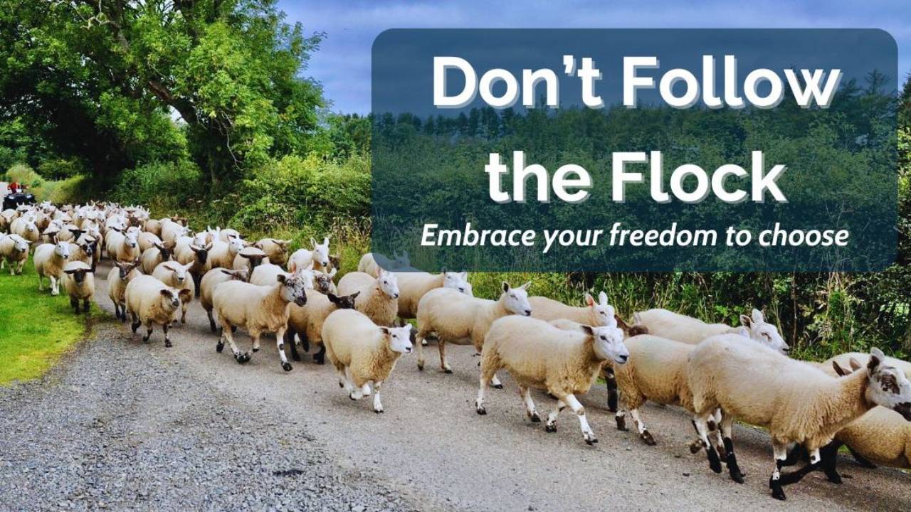 Don't Follow the Flock - Embrace your freedom to choose