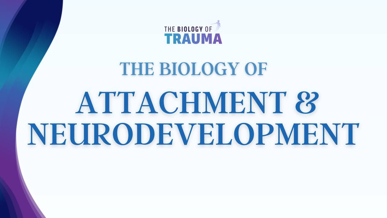 Biology of Attachment and Neurodevelopment - 4 Weeks of Deep Repair