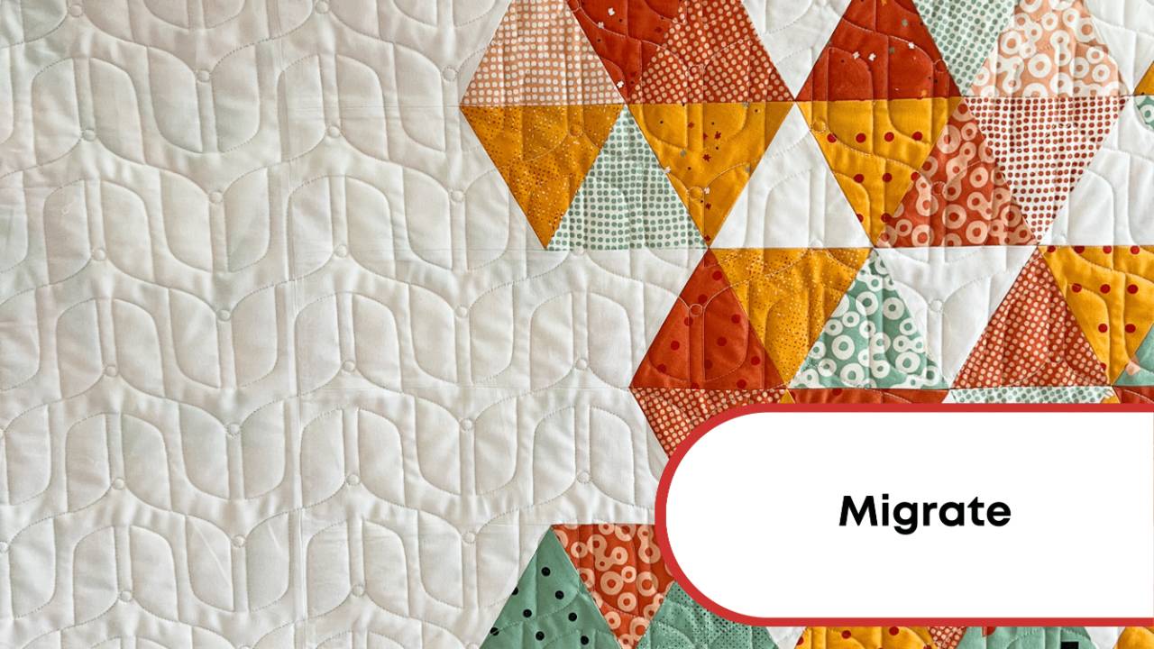 Migrate Digital Edge to Edge Quilting Design on Spring in Paris Quilt