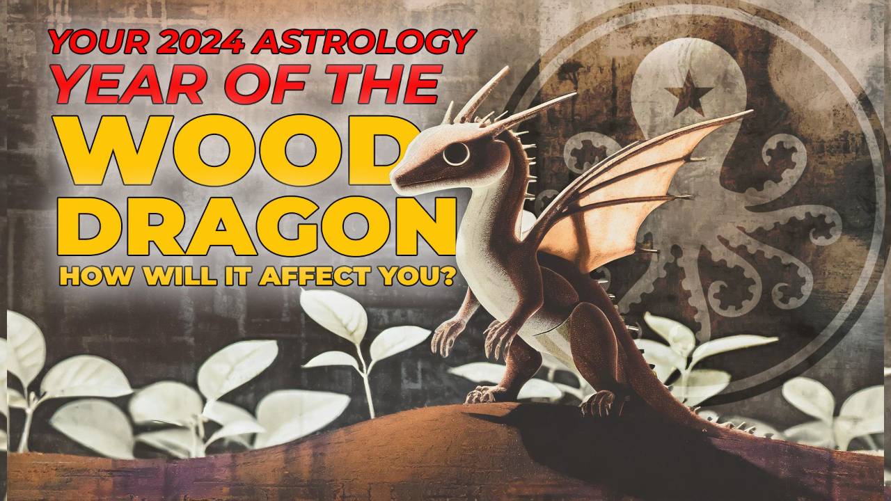 Unlocking the wisdom of the Wood Dragon Year