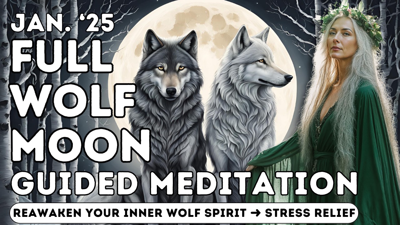 January '25 Full Moon in Cancer: Meditation to Awaken Your Wolf Spirit