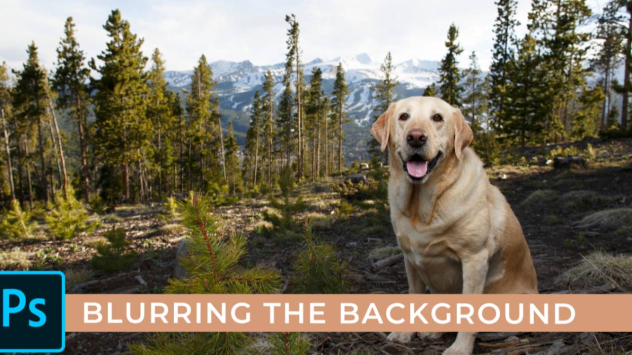 How to Blur the Background in Photoshop 2022 using Neutral Filters