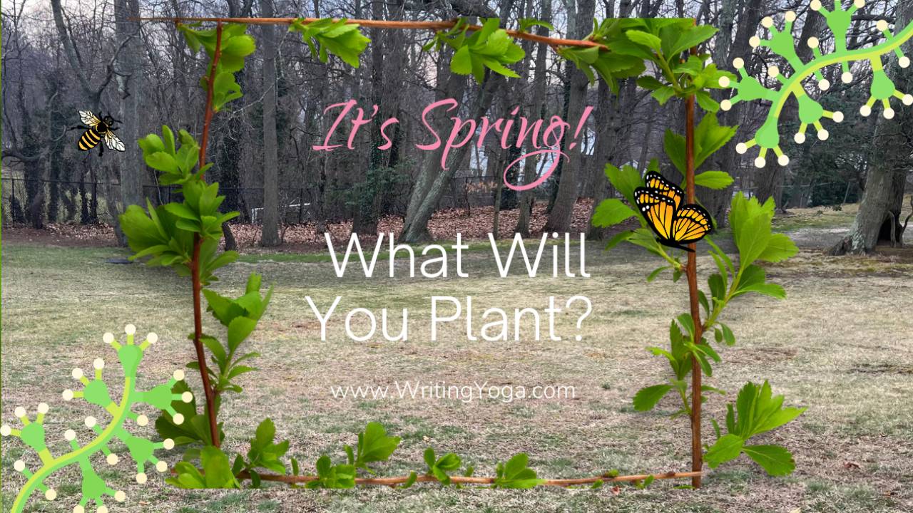 Spring Reflection and Mindful Walking [Writing Yoga® Prompt #2004]