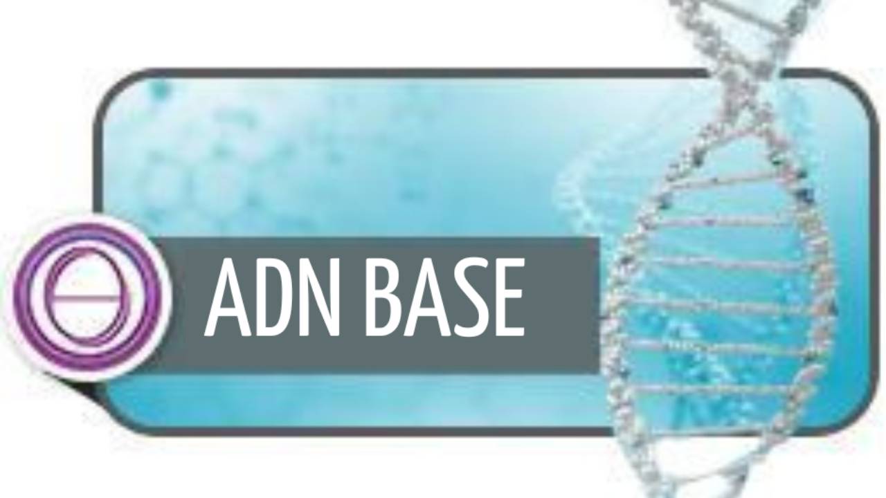 ThetaHealing formation Adn Base la technique