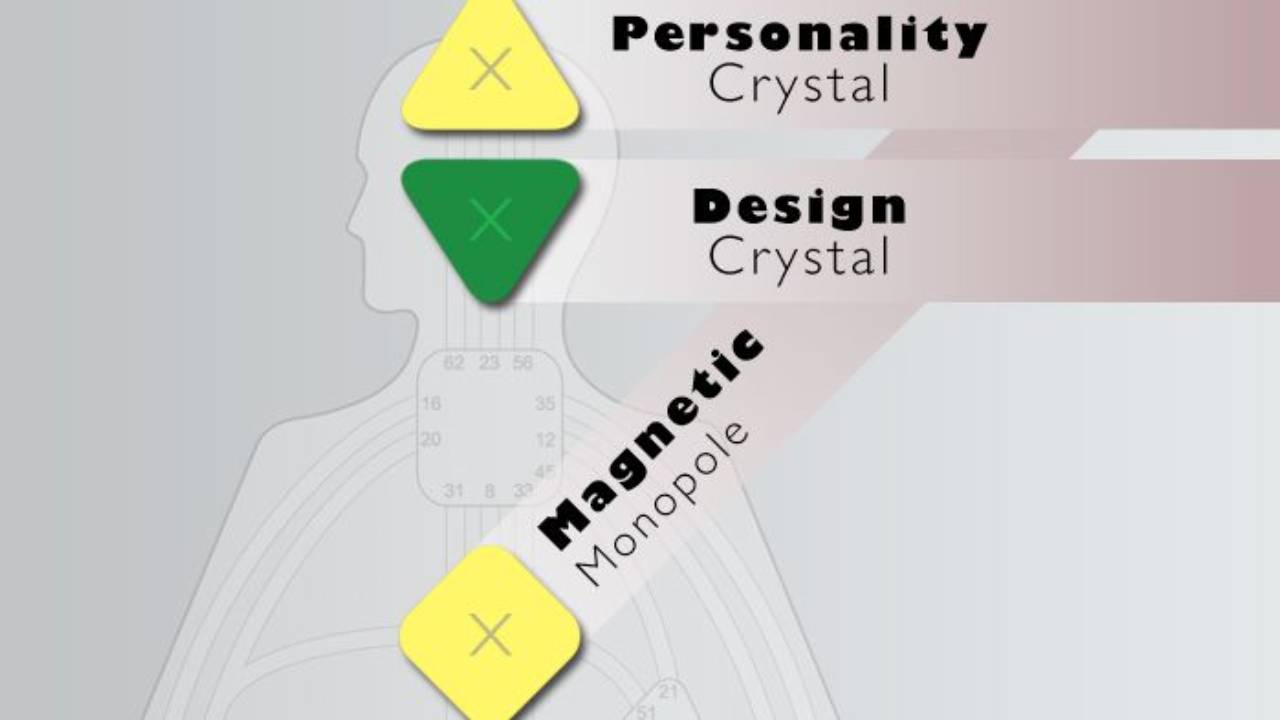 The Passenger In Human Design