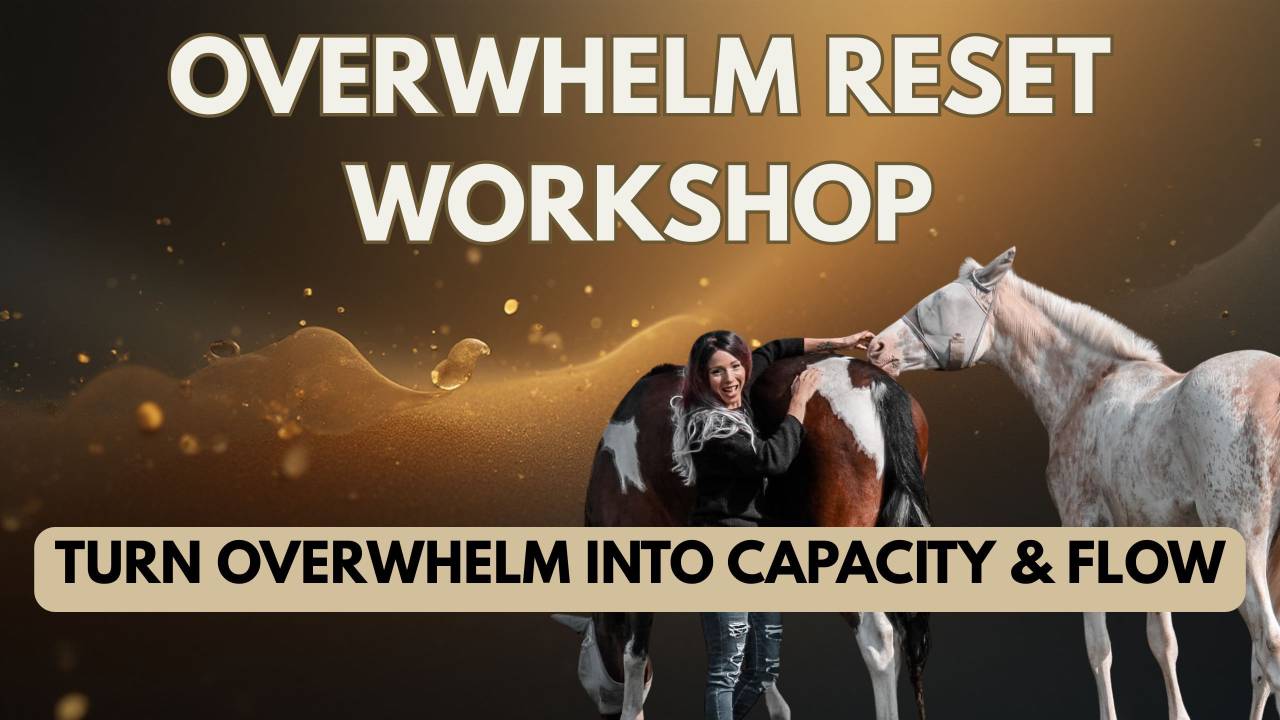 The Overwhelm Reset for High Performers
