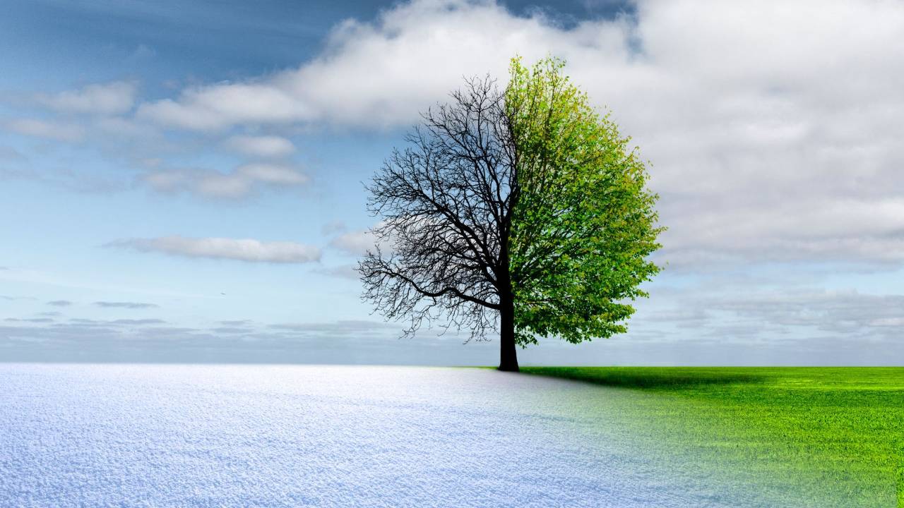 Removing the Resistance to Change