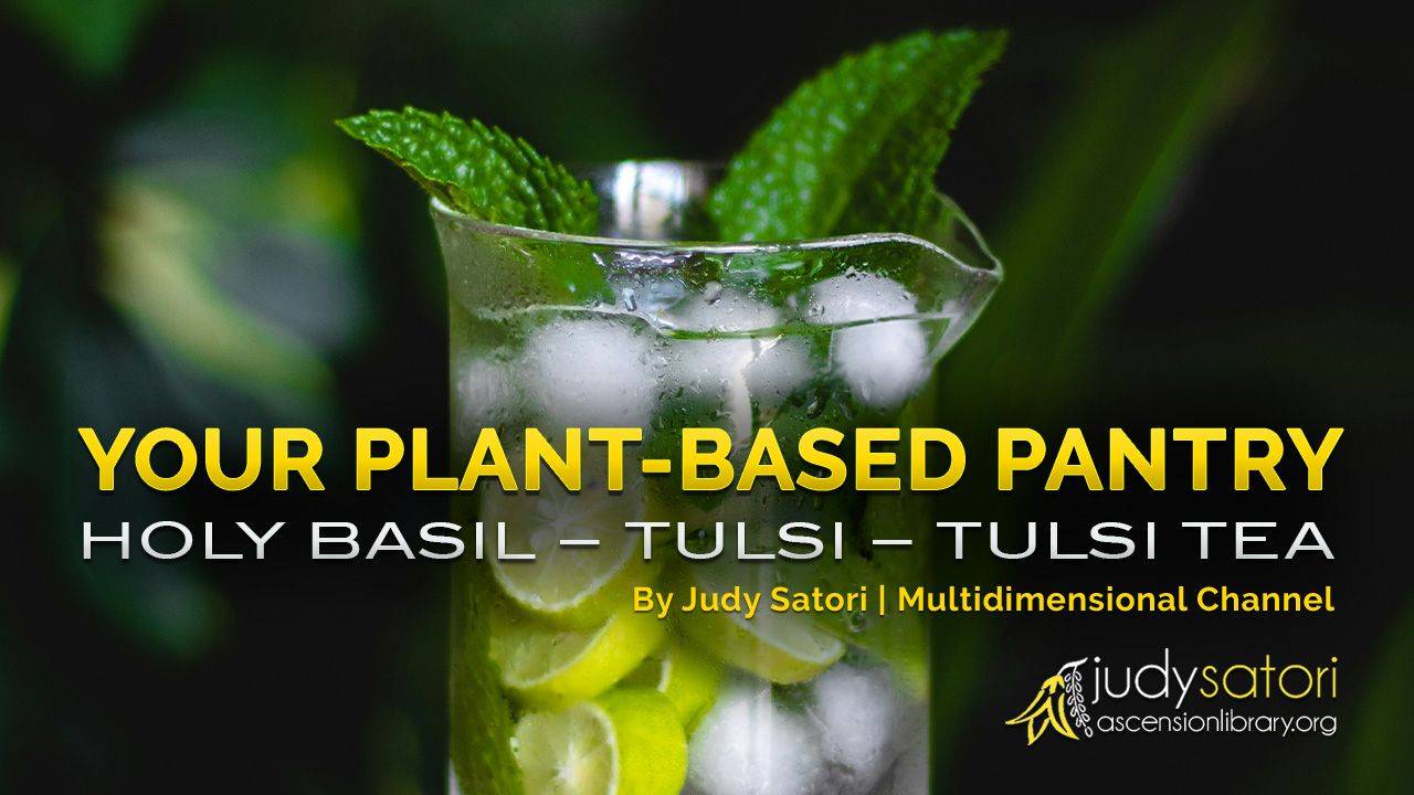 Your Plant-Based Pantry | Holy Basil - TULSI - Tulsi Tea