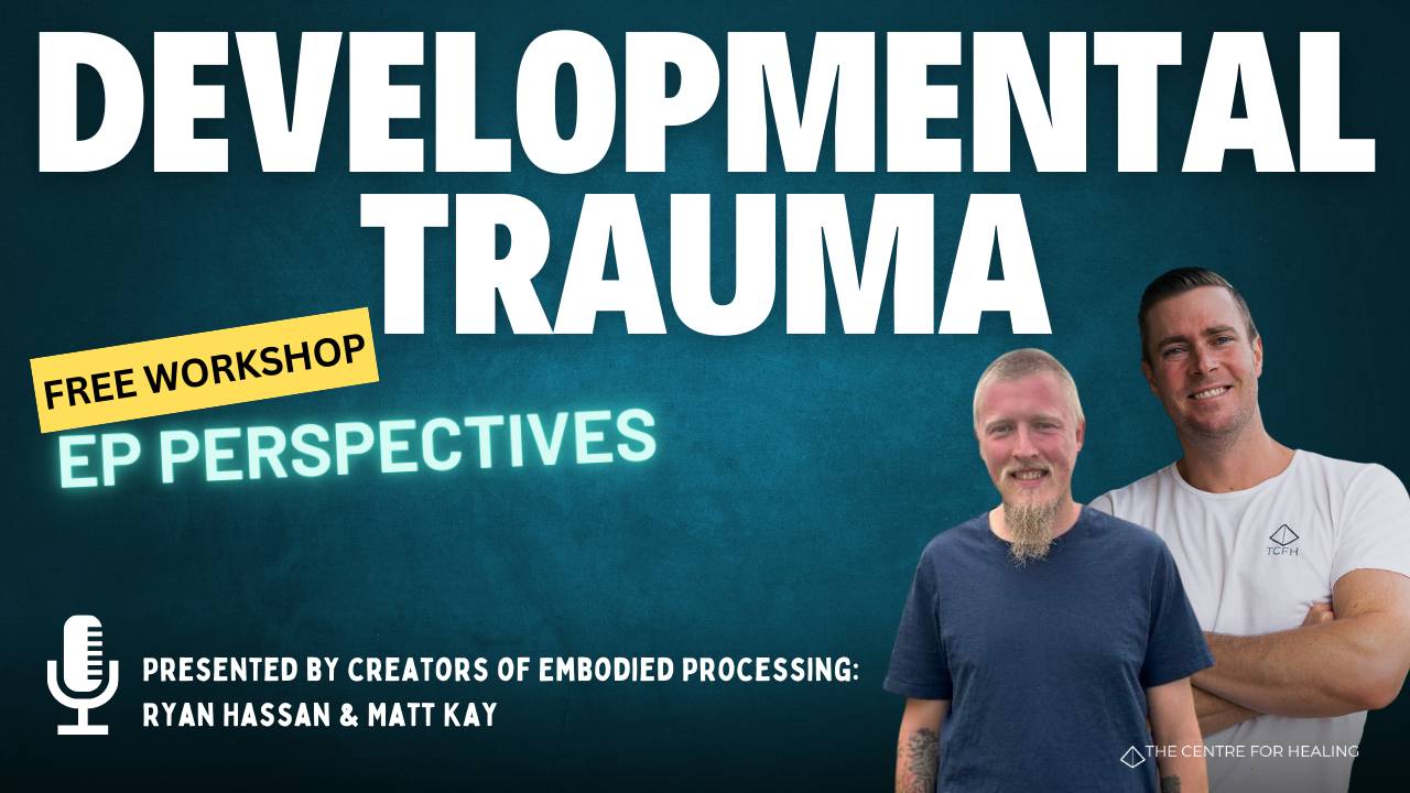 Developmental Trauma Workshop