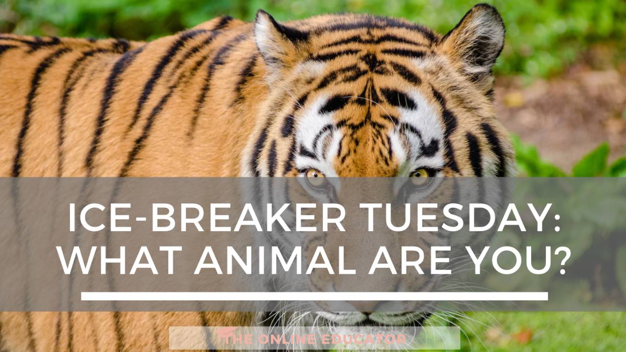 Ice-Breaker Tuesday: What Animal Are You?