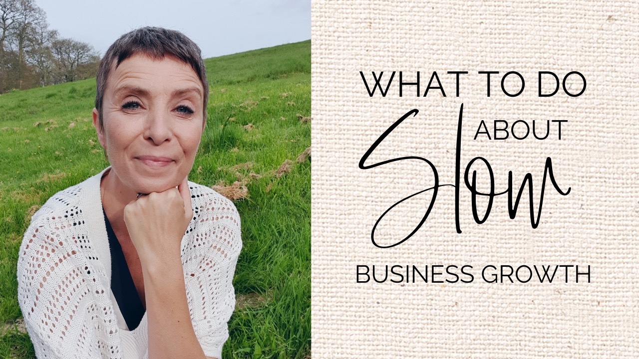 What to do about Slow Business Growth