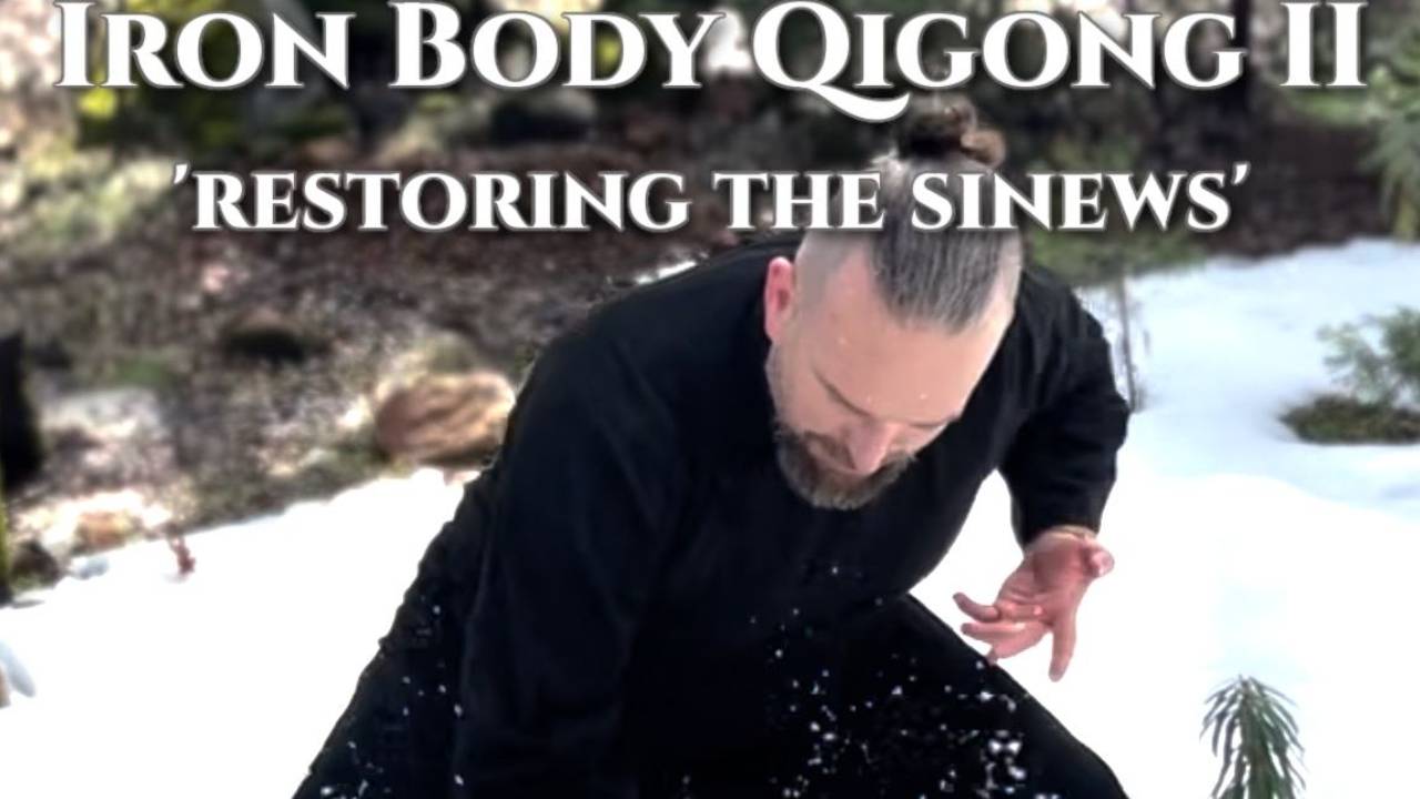 Iron Body Qigong 2