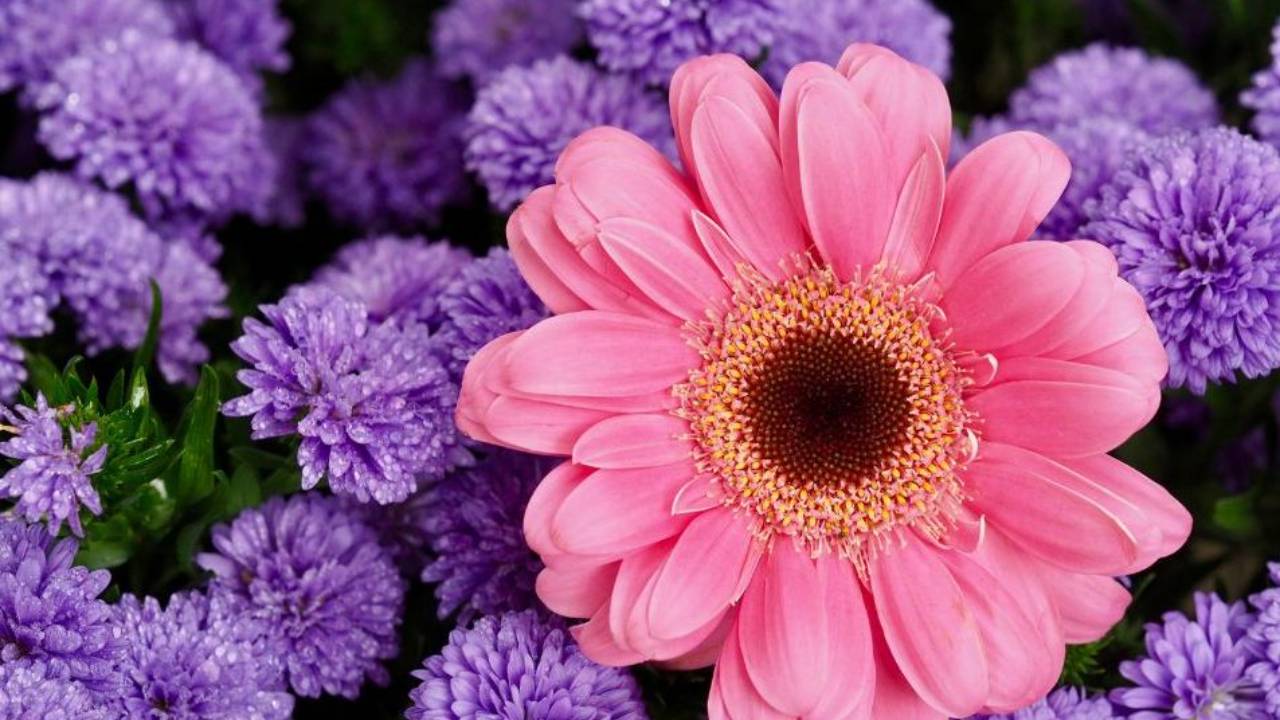 Be Yourself with the Help of Guardian Trees