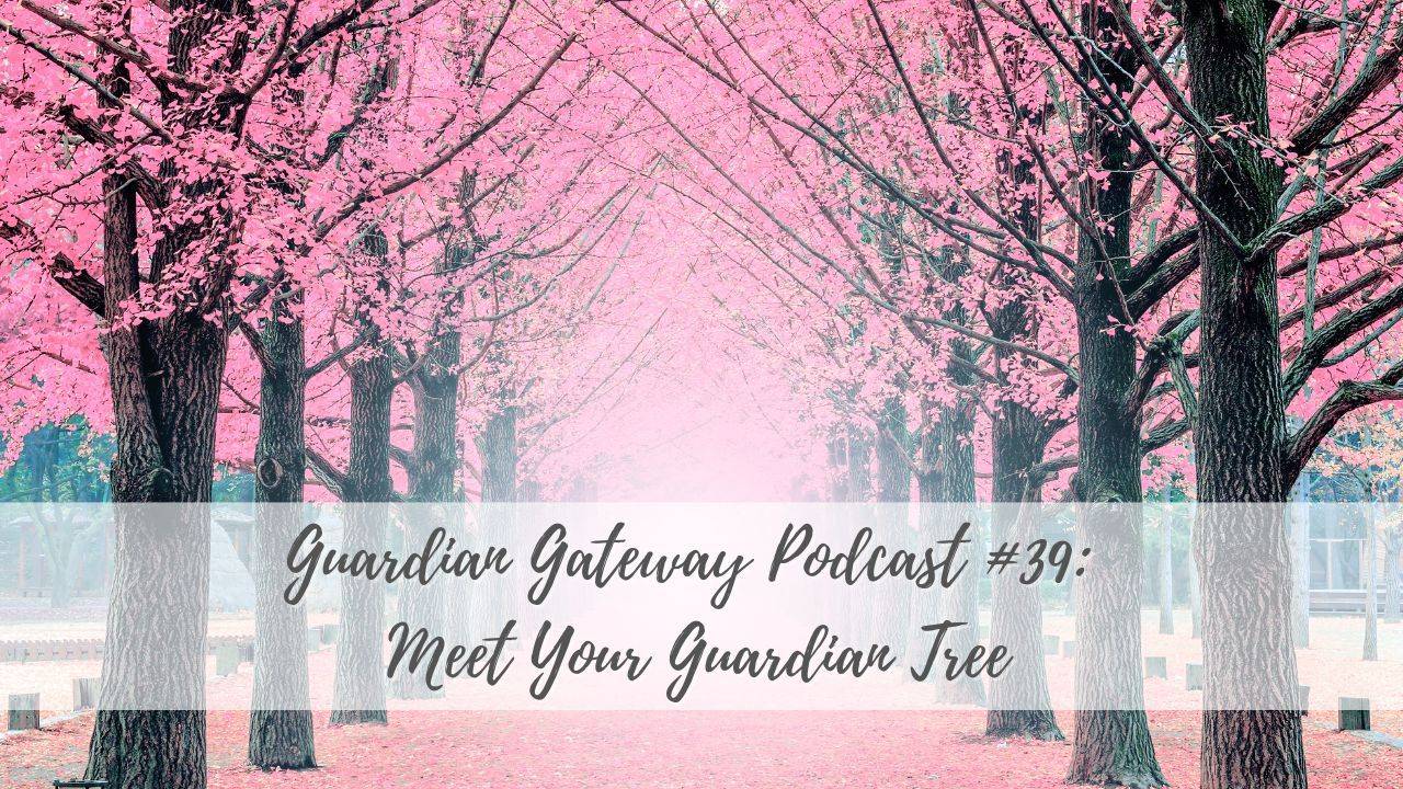 Episode 39- Meet Your Guardian Tree