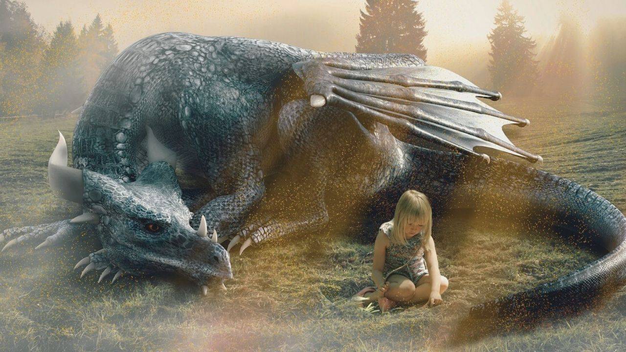 Connect with the Support of Guardian Dragons