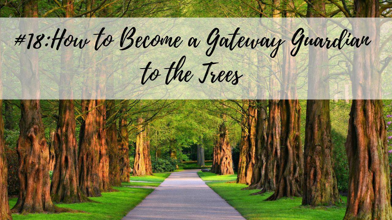 Episode 18 - How to Become a Gateway Guardian to the Trees