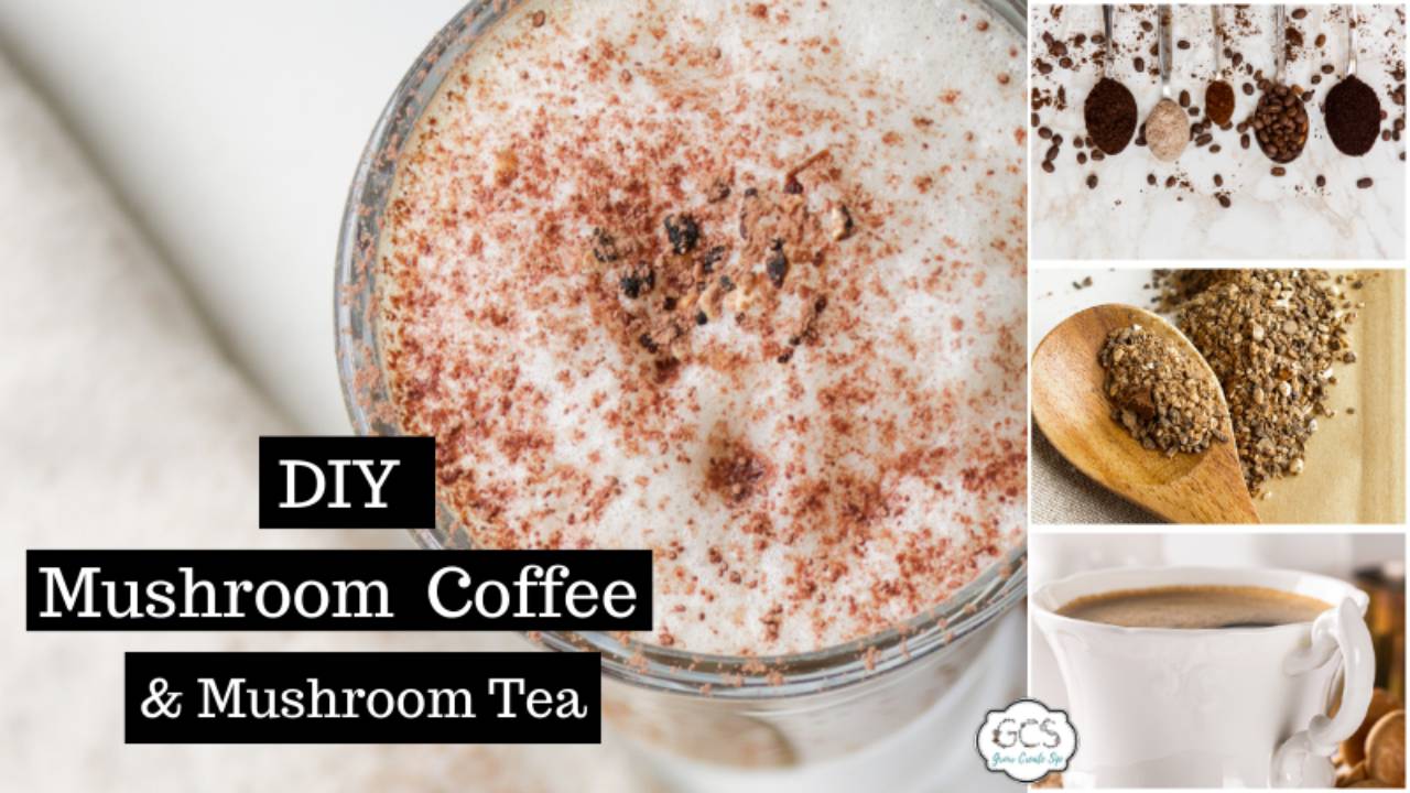 DIY Mushroom Coffee Recipe & Mushroom Tea Benefits