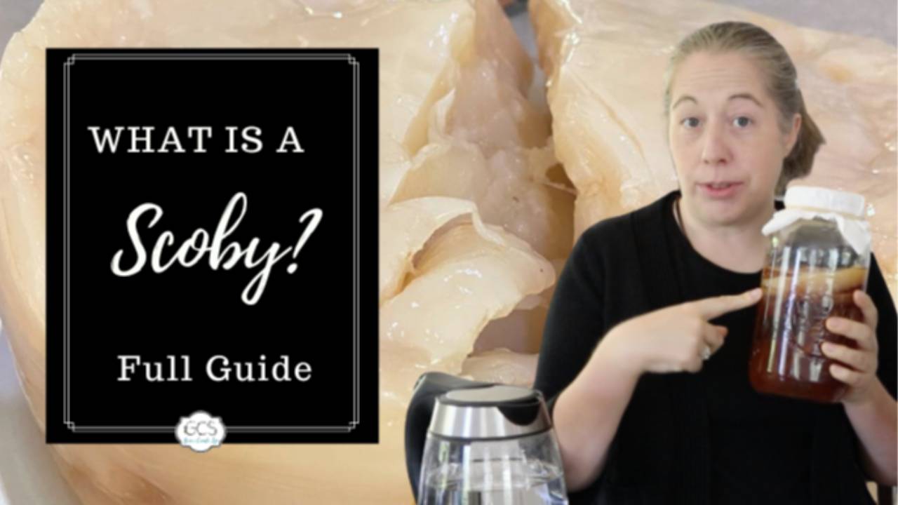 What is a SCOBY? A Full Guide