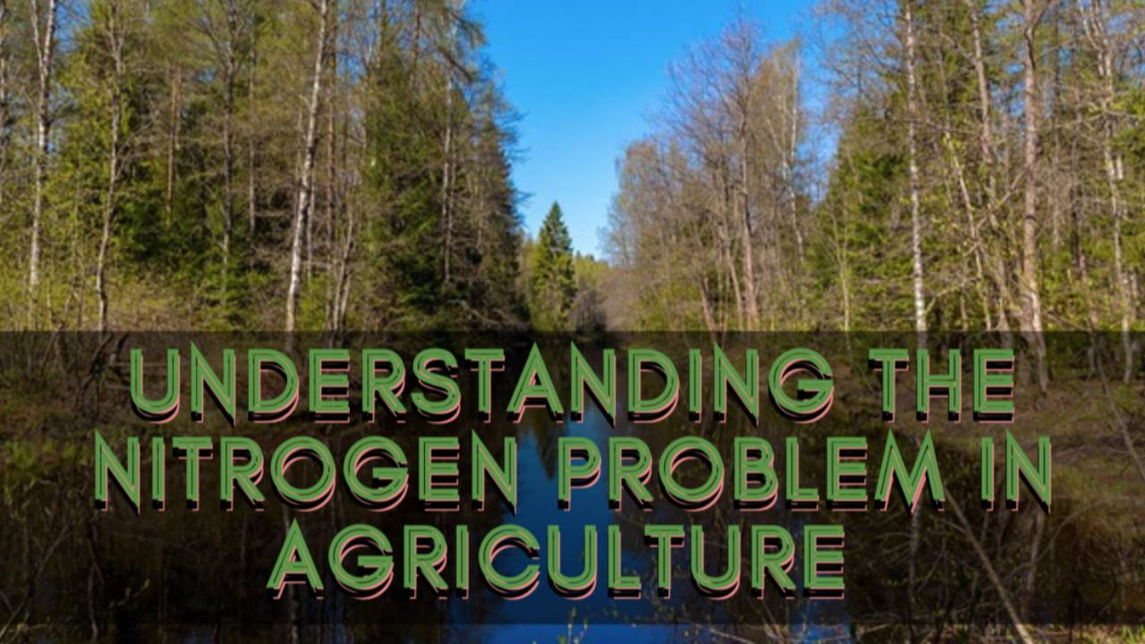 Understanding the Nitrogen Problem in Agriculture