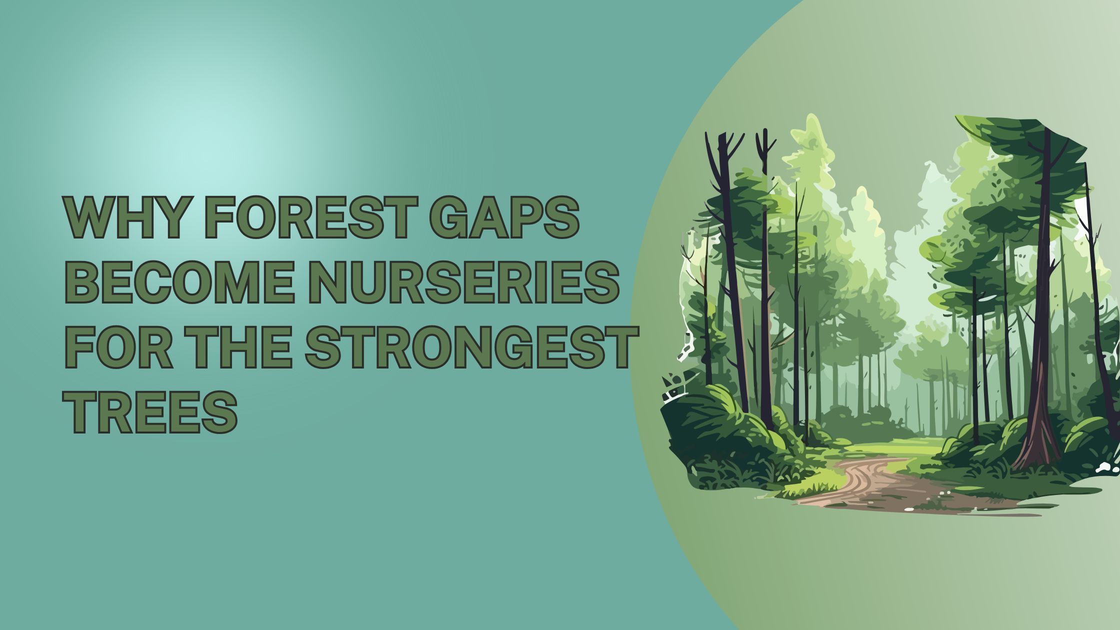 Why Forest Gaps Become Nurseries for the Strongest Trees