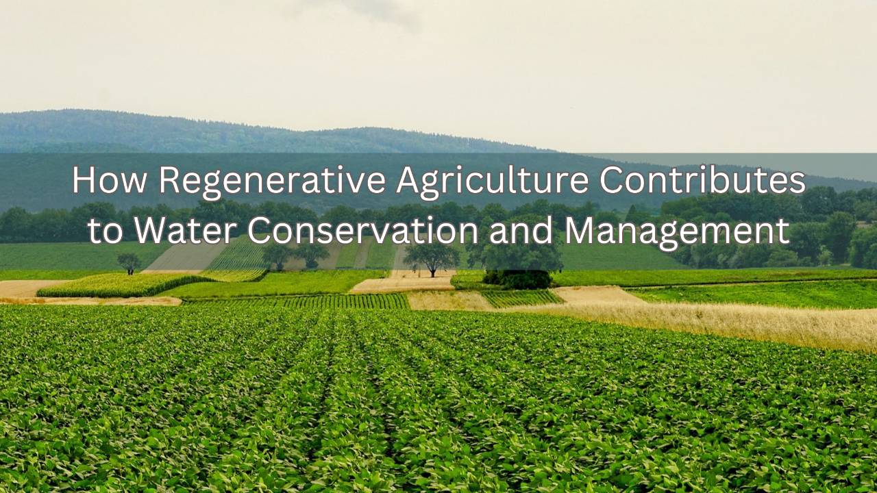 Regenerative Agriculture Contributes to Water Conservation