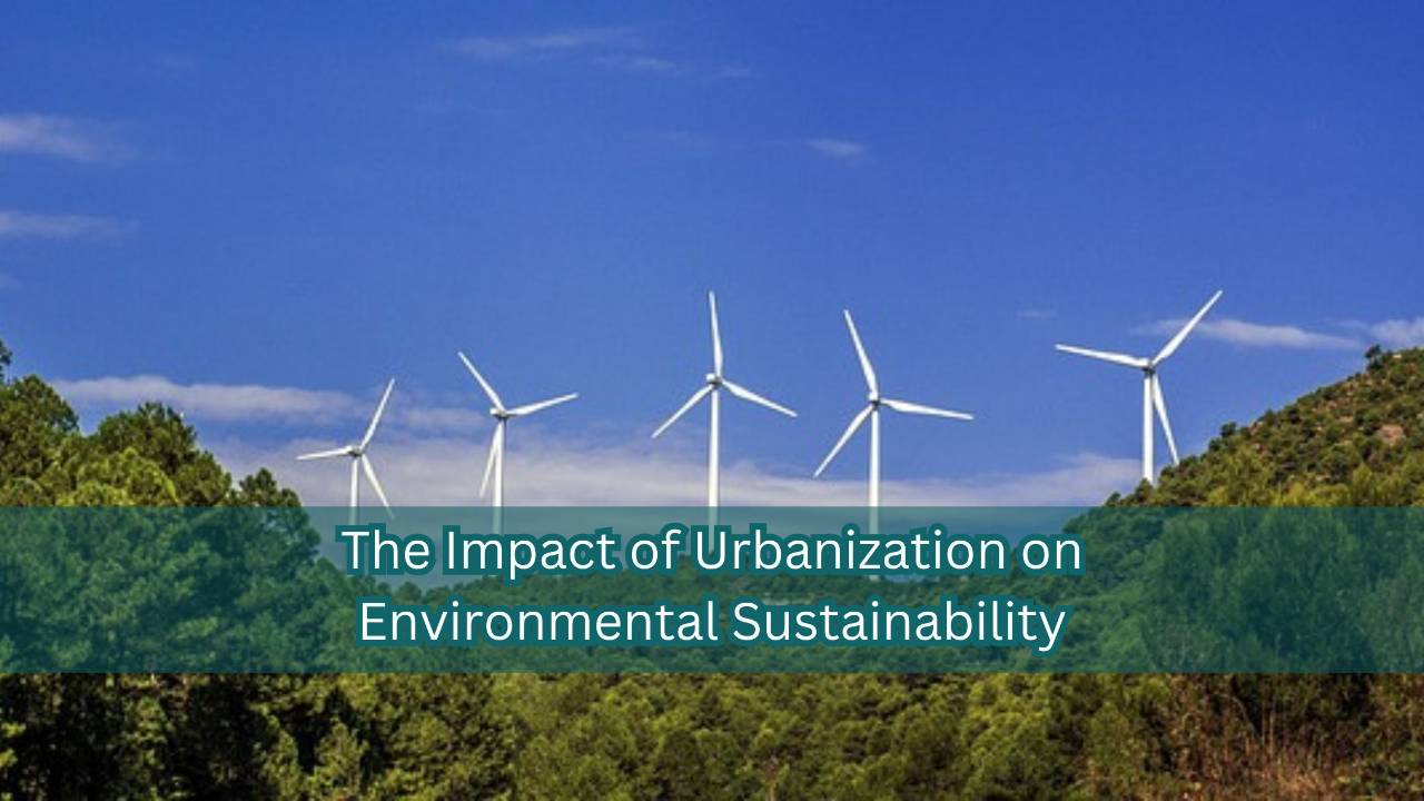 Education Fuels Environmental Awareness and Action