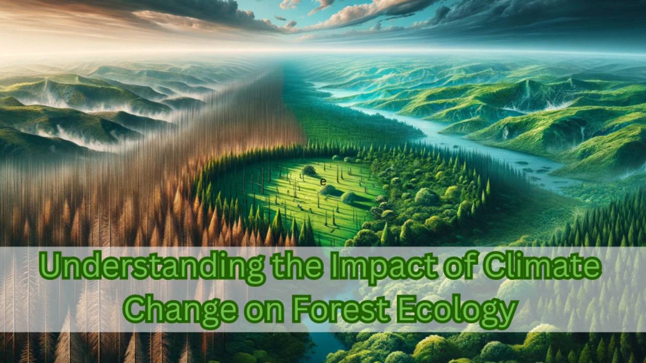 Climate Change and impacts on Forest Ecology