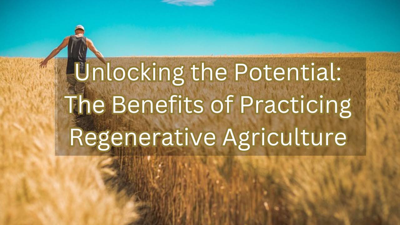The Benefits of Practicing Regenerative Agriculture