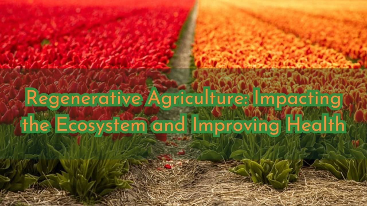 Regenerative Agriculture: Impacting the Ecosystem and Improving Health