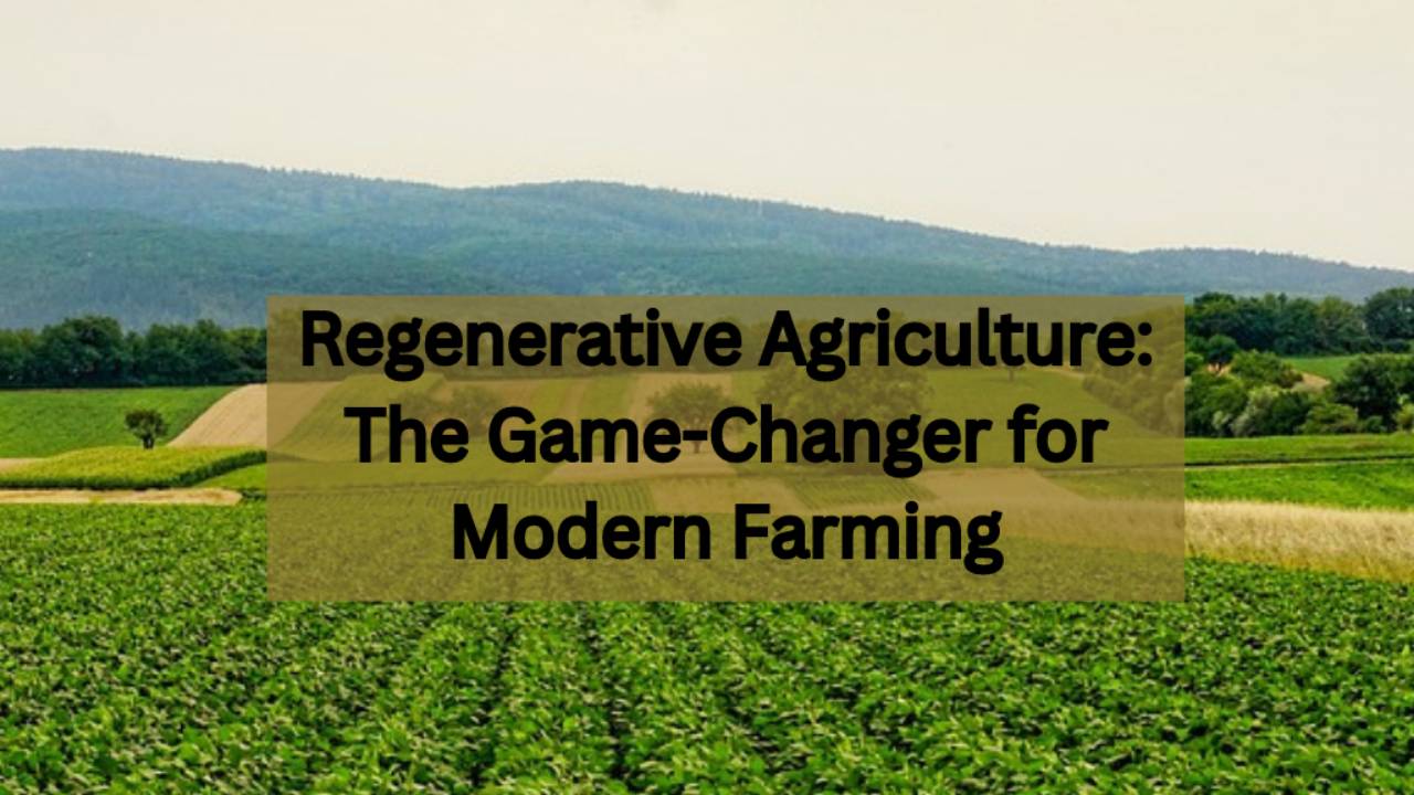 Regenerative Agriculture: Modern Farming's Game-Changer