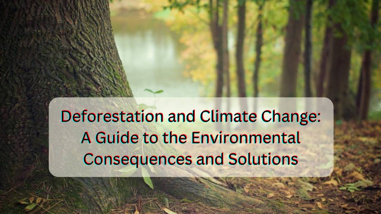 Deforestation Impact: Climate Change & Solutions Explained
