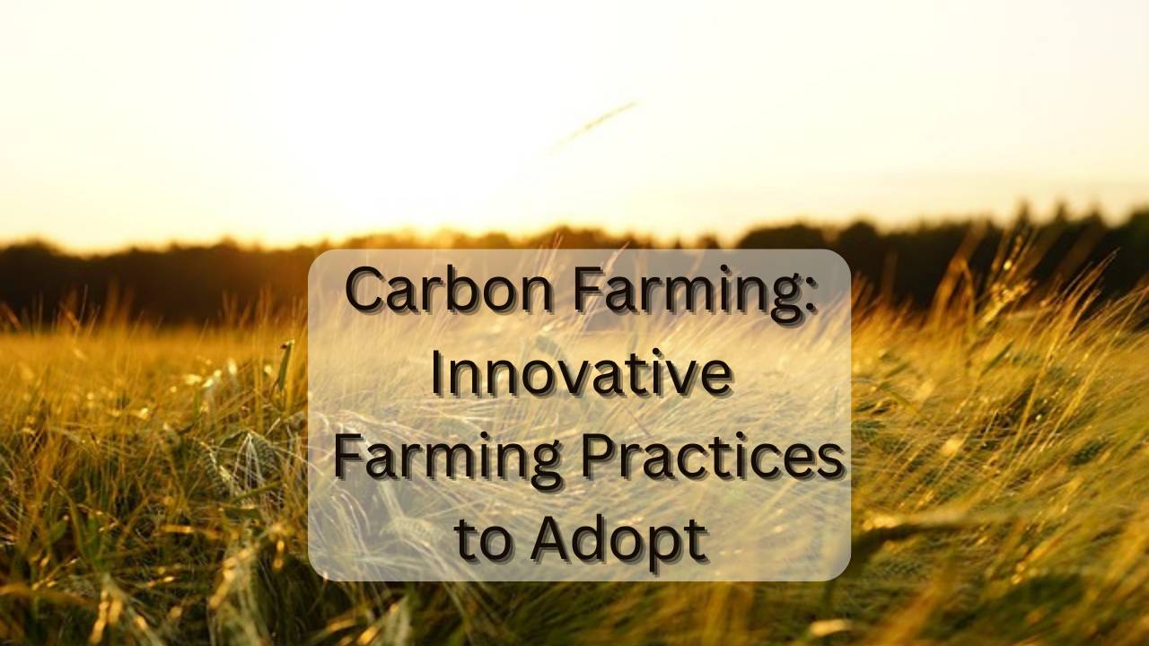 Carbon Farming: Innovative Farming Practices to Adopt