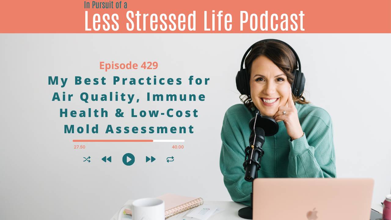 Air Quality, Immune Support & Low-Cost Mold Assessment Tips