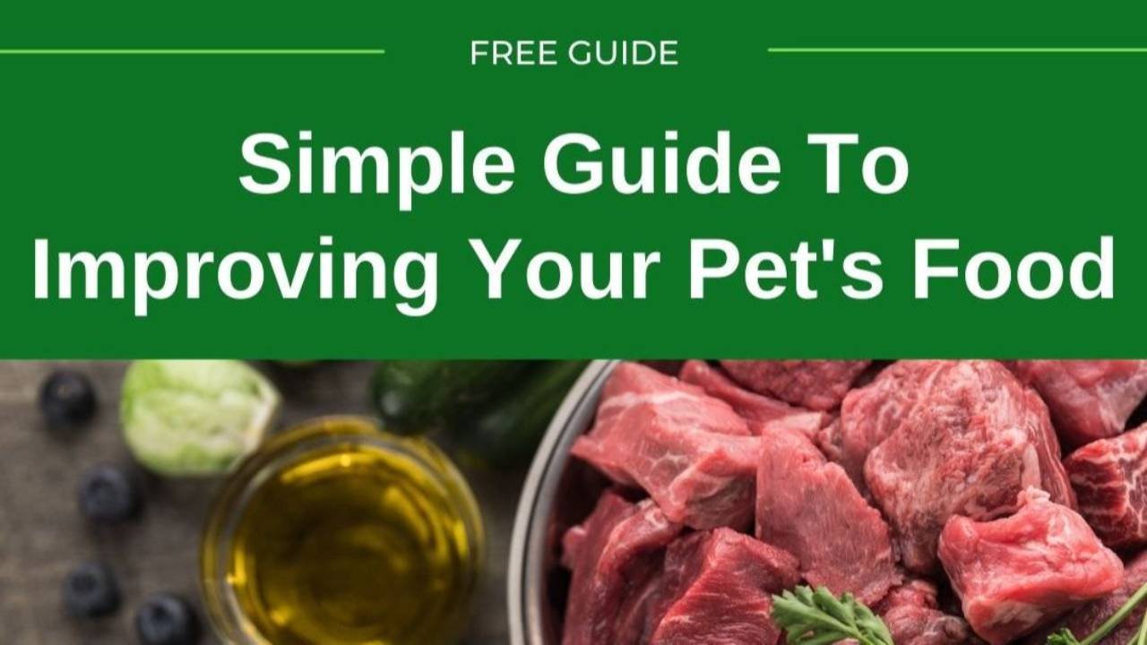 Free Simple Guide To Improve Your Pet's Food