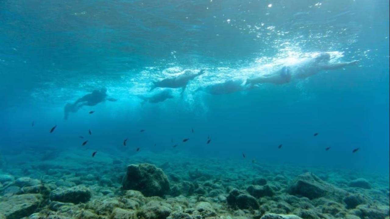 Open water swimming tours with accommodation in Ibiza