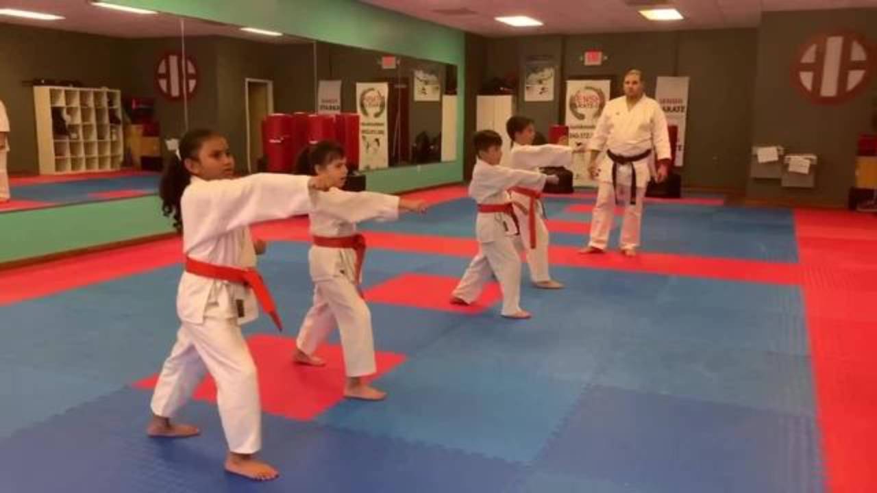 Karate for Kids Online