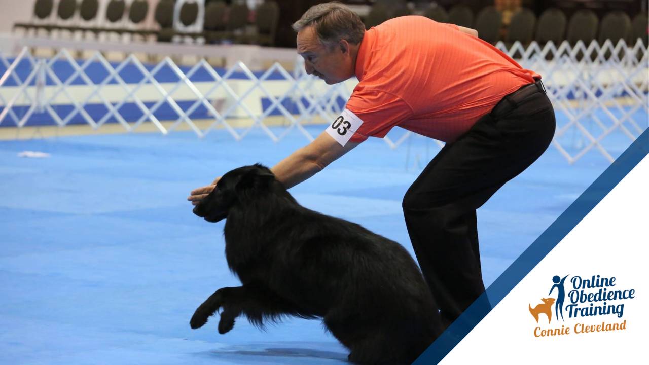 Preventing & Managing Common Problems - Go Outs