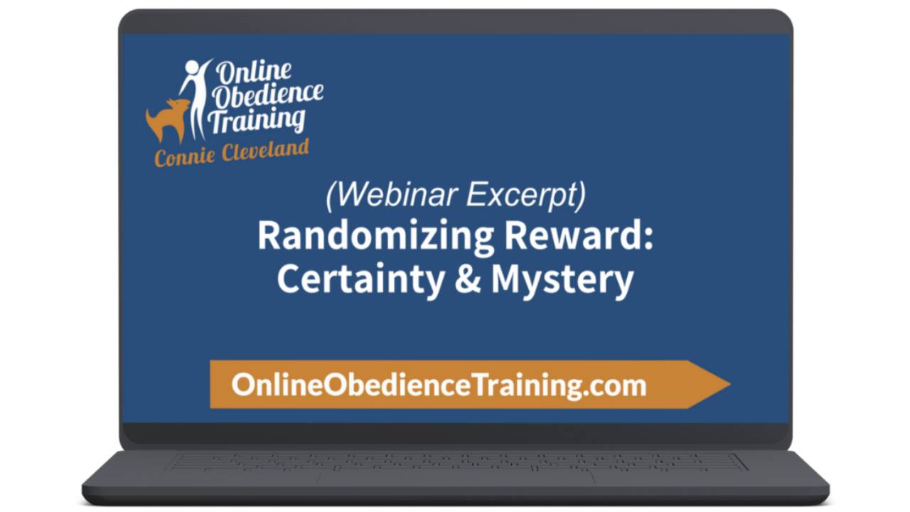 Randomizing Rewards: Certainty & Mystery