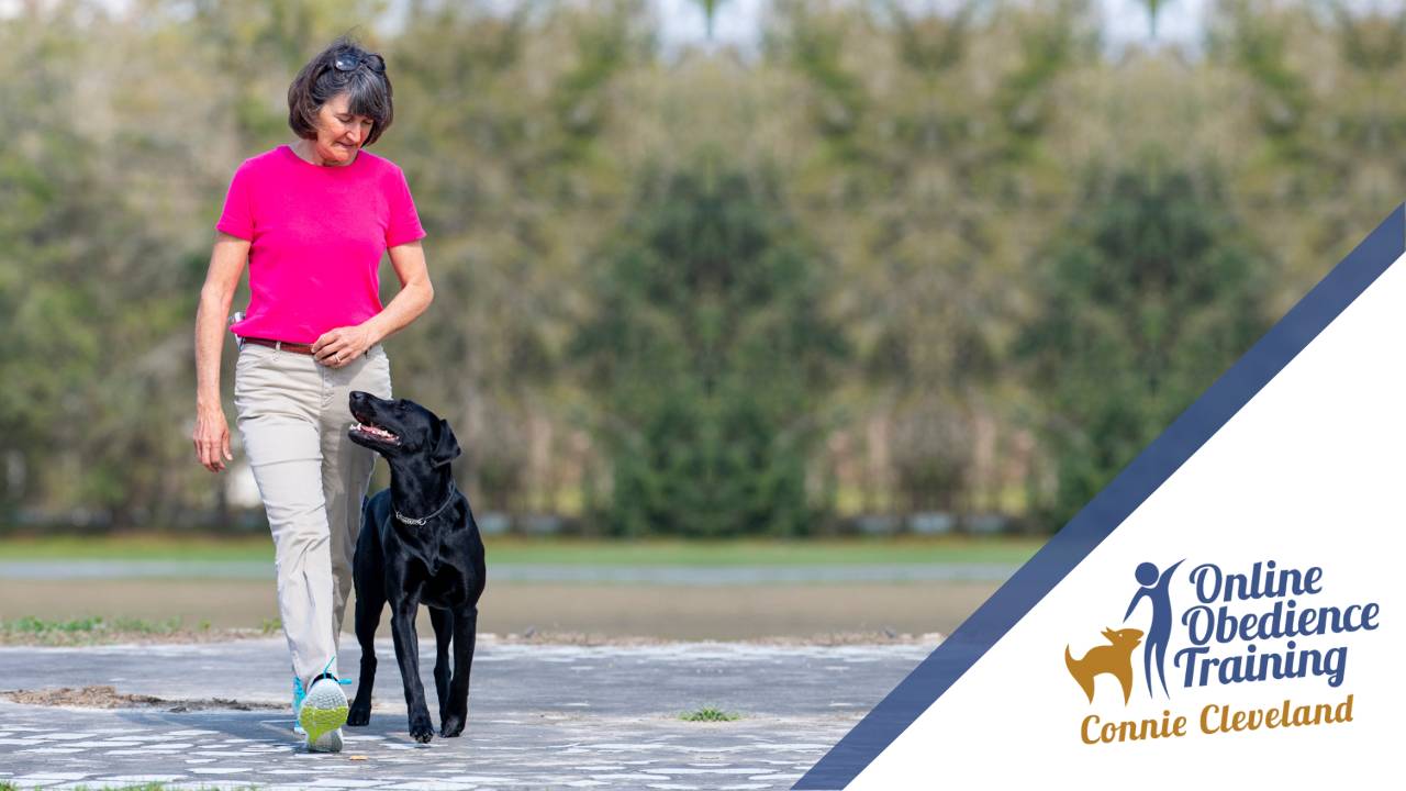 Picture of Perfection - A Drill for Heeling