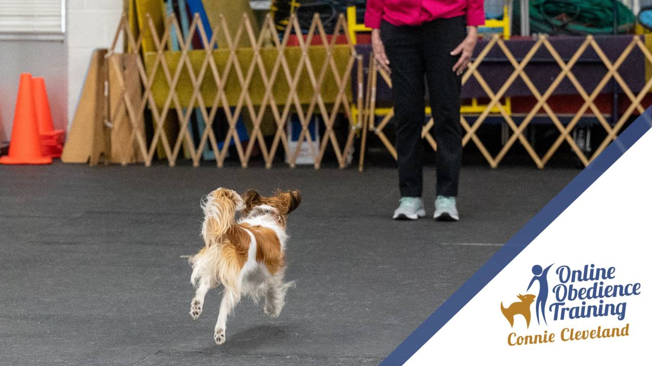 Improve Your Recall Using Proofing